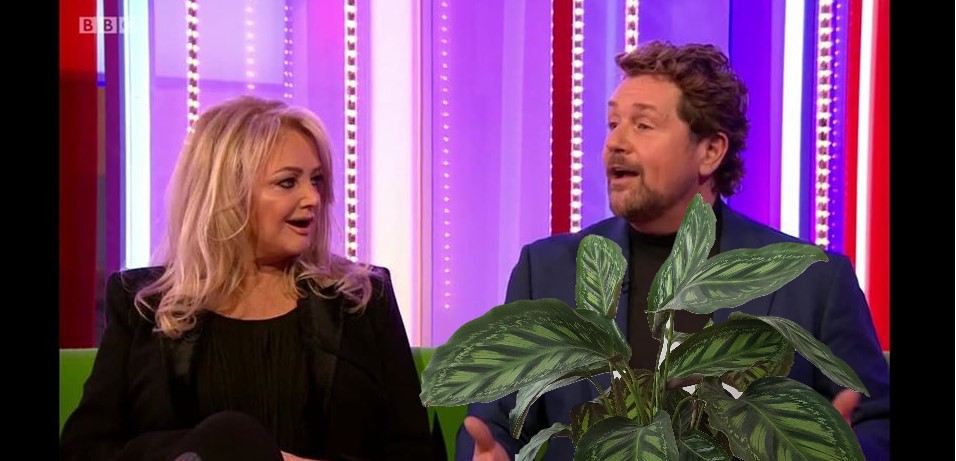 The Adventures of Connal The House Plant – Episode III – The Secret Teapot